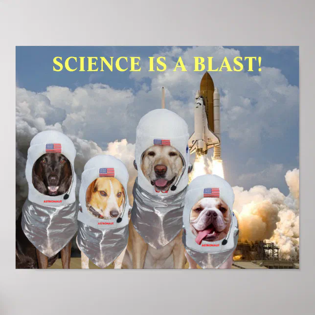 Funny Dog Astronauts Science Poster | Zazzle