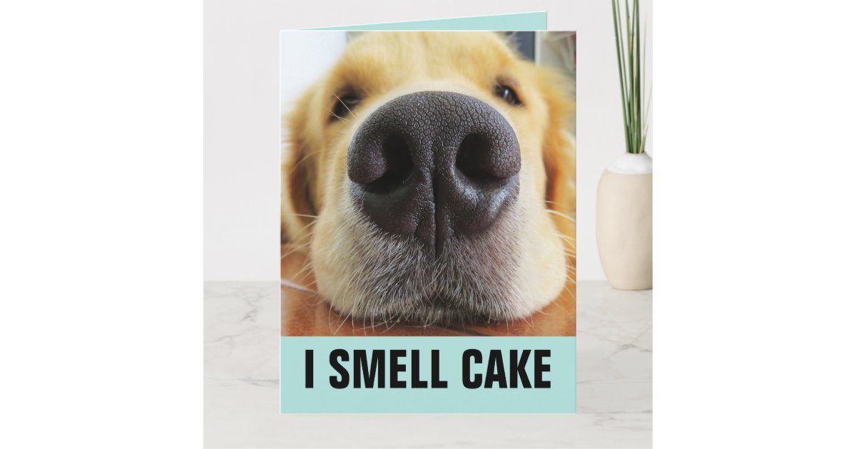 FUNNY DOG BIG BIRTHDAY SMELL CAKE CARD | Zazzle