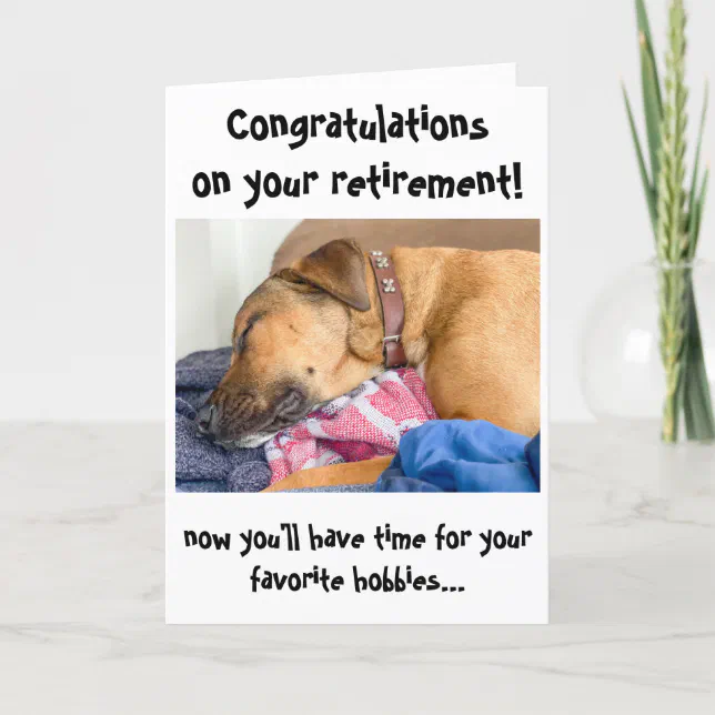 Funny Dog Congratulation on Retirement Card | Zazzle
