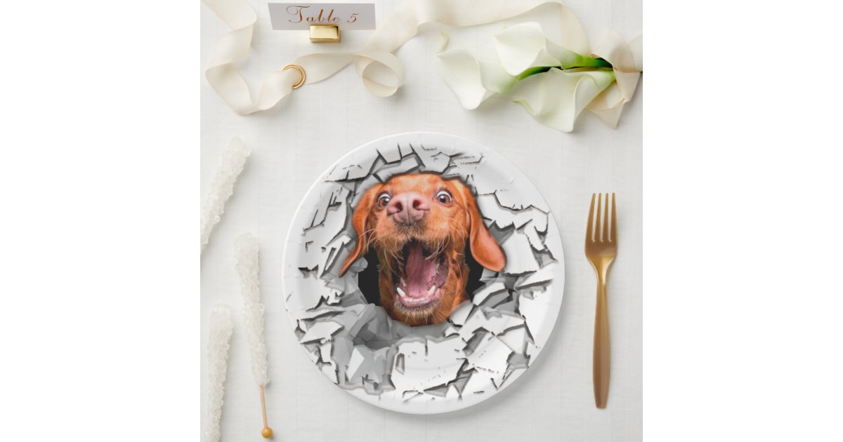 Funny dog face paper plates | Zazzle