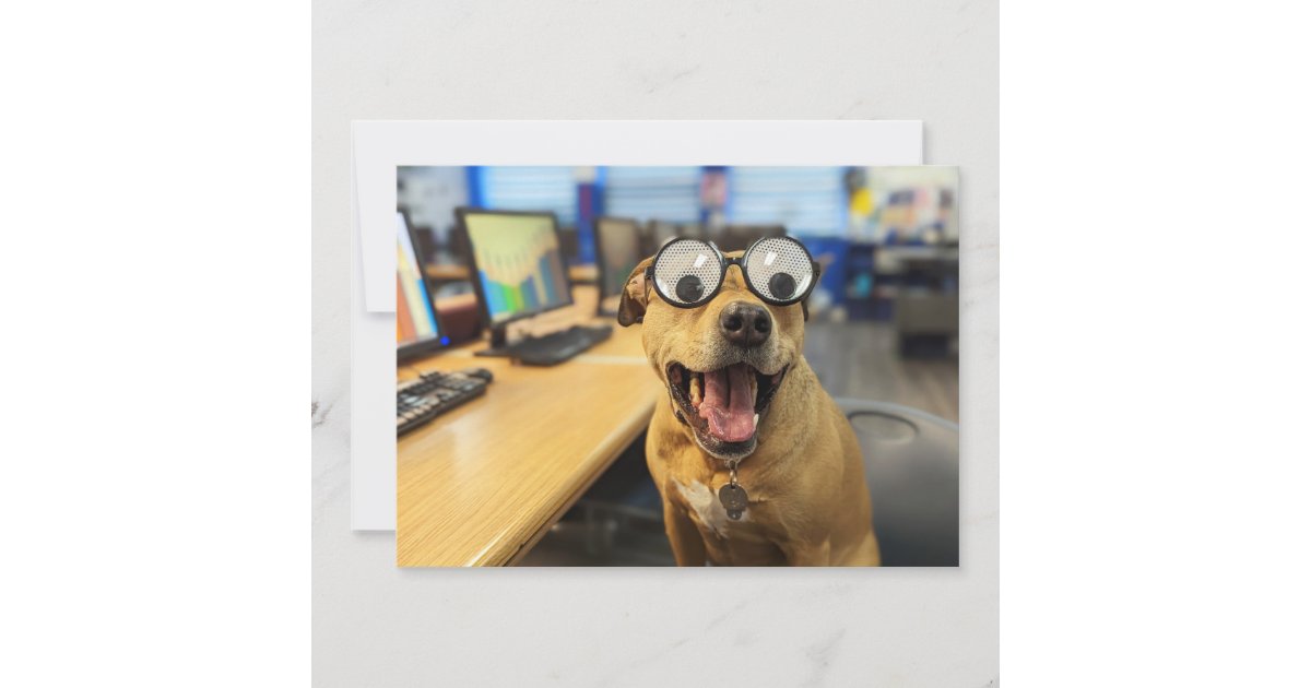 Funny Dog Googly Eyes, colorful, happy Photo Card | Zazzle