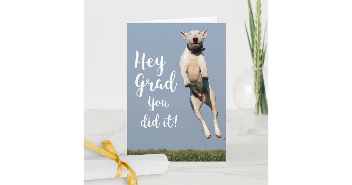 Funny Dog Graduation Card Congratulations Grad | Zazzle