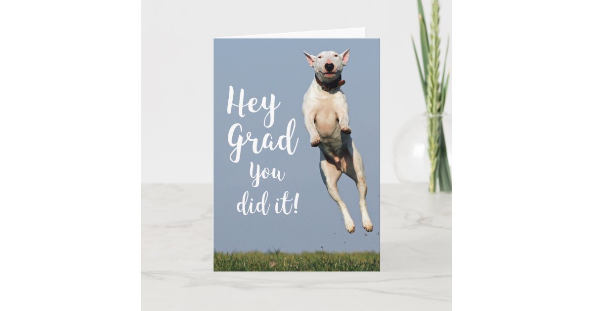 Funny Dog Graduation Card Congratulations Grad | Zazzle.com