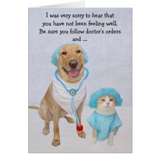 Funny Cat Get Well Cards | Zazzle