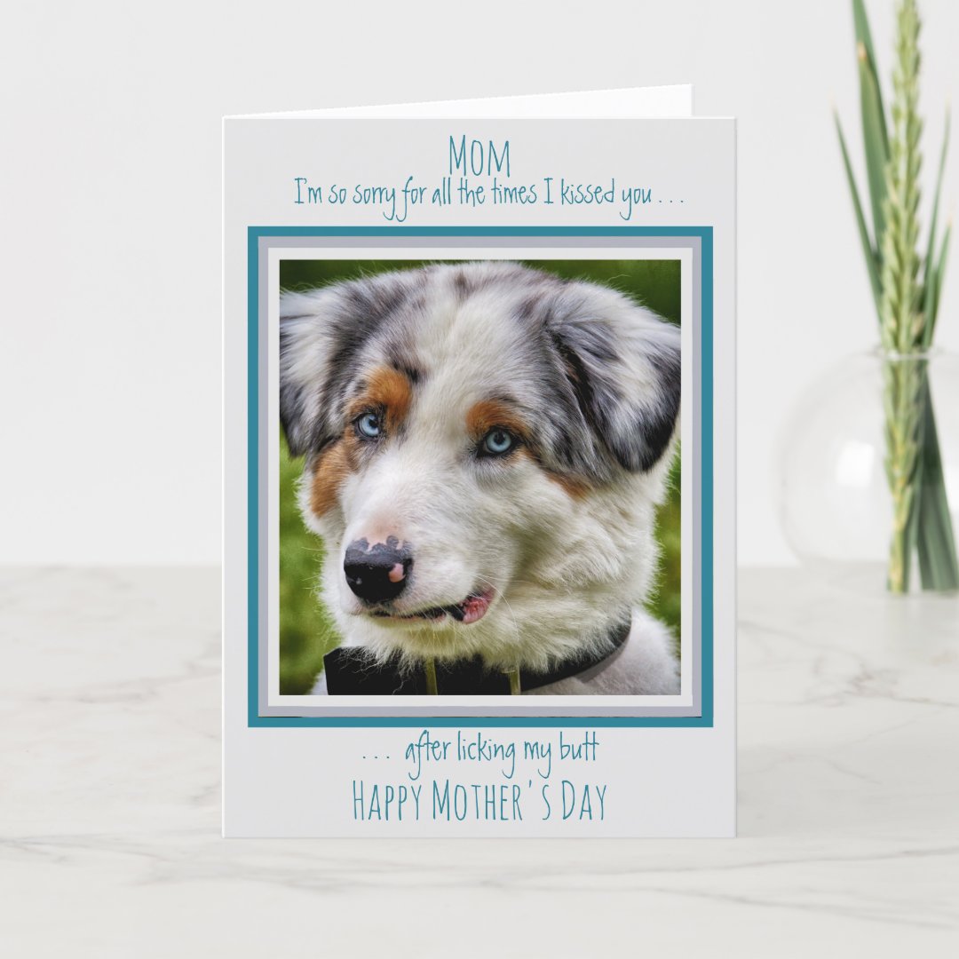 Funny Dog Mom Mother's Day Cute Dog Photo Card | Zazzle