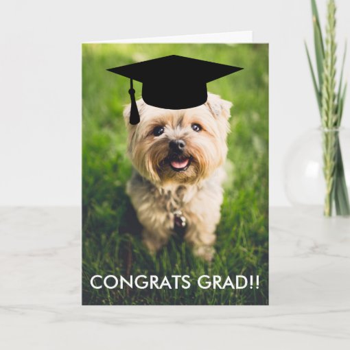 Funny Dog Photo Graduation Card, Custom Dog Photo Card | Zazzle