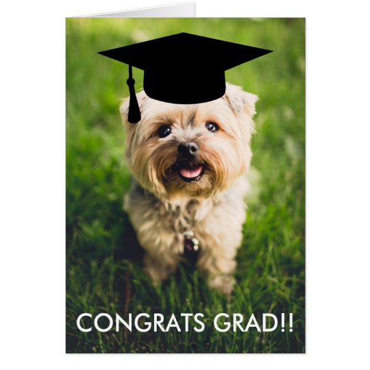 Funny Dog Photo Graduation Card, Custom Dog Photo Card | Zazzle.com