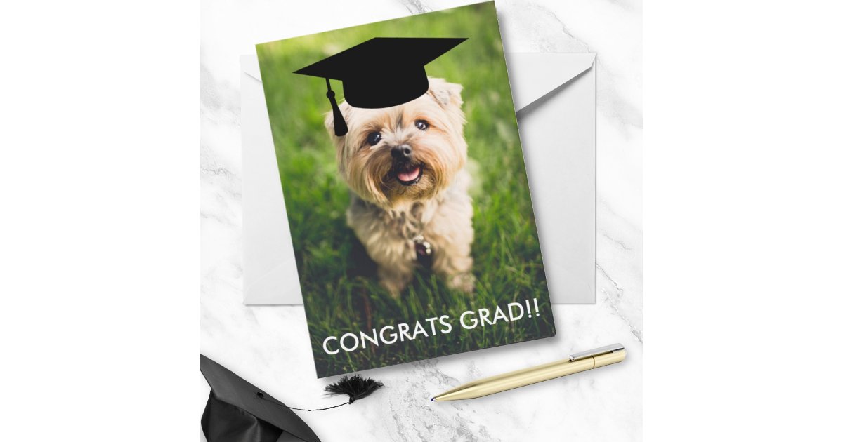 Funny Dog Photo Graduation Card, Custom Dog Photo Card | Zazzle