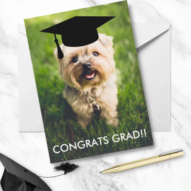 Funny Dog Photo Graduation Card, Custom Dog Photo Card | Zazzle