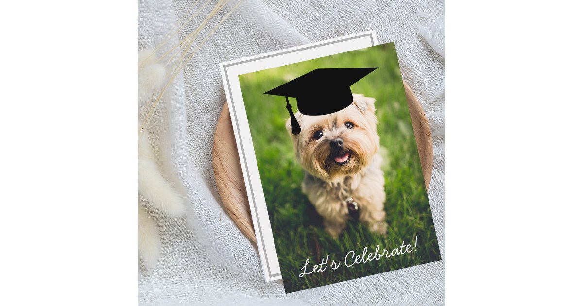 Funny Dog Photo Graduation Party - Use Your Photo Invitation | Zazzle