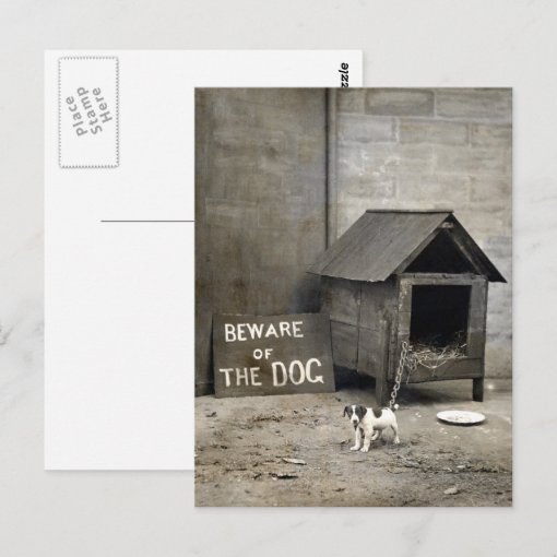 Funny Dog postards Postcard | Zazzle