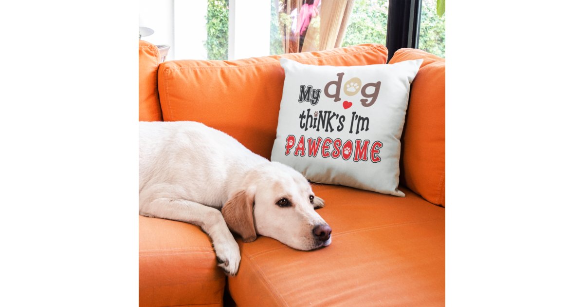 Funny Dog Pun Pawesome Quirky Typography Throw Pillow Zazzle funny-dog-pun-pawesome-quirky-typography-throw-pillow-zazzle
