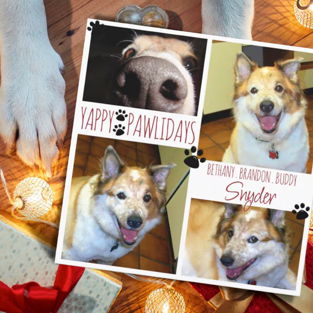 Funny Dog YAPPY PAWLIDAYS 4 Photo Paw Prints Card | Zazzle