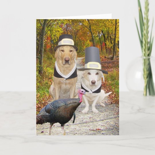 Funny Dogs/Labs Thanksgiving Holiday Card | Zazzle.com