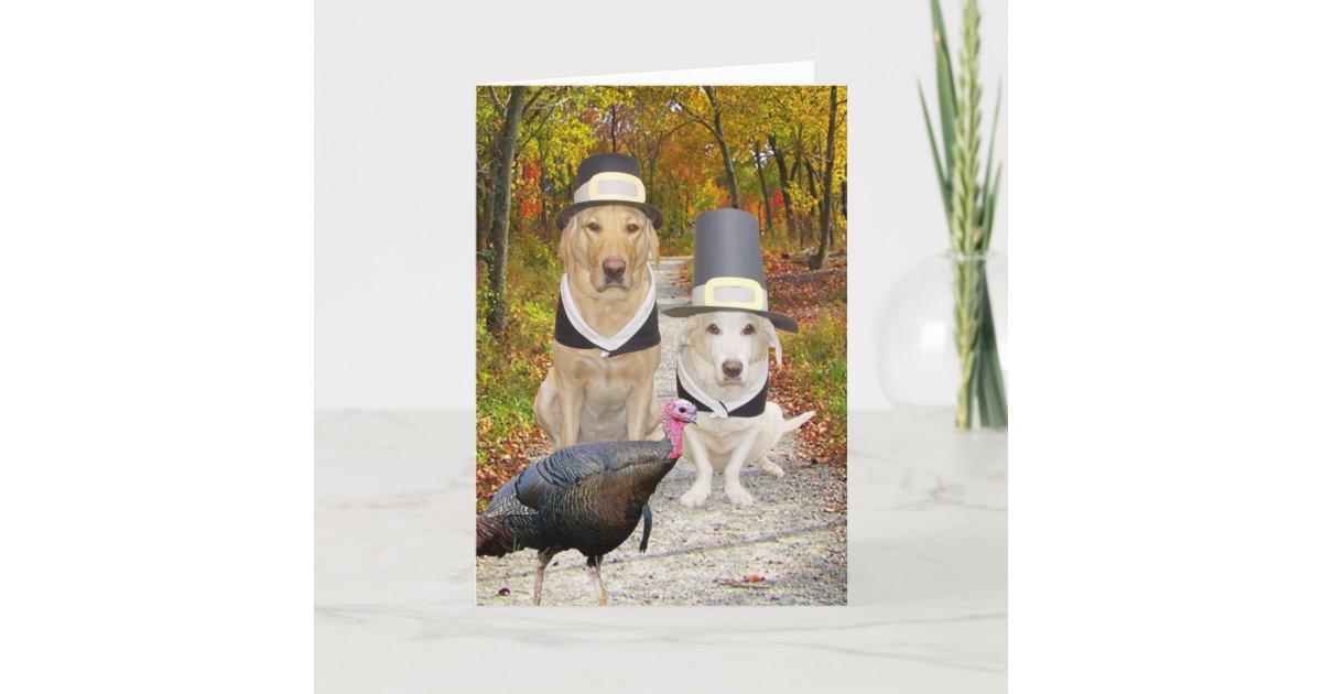 Funny Dogs/Labs Thanksgiving Holiday Card | Zazzle