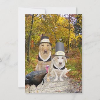 Funny Dogs/Labs Thanksgiving Invitation | Zazzle