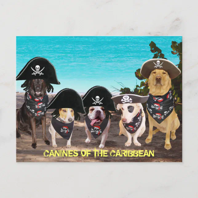 Funny Dogs Talk Like a Pirate Day Postcards | Zazzle