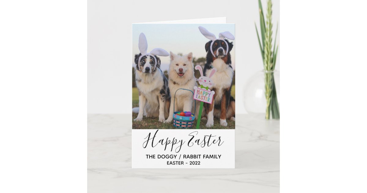 Funny Dogs with Rabbit Ears Happy Easter Photo Holiday Card | Zazzle