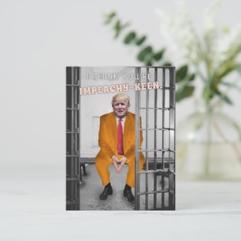 Funny Donald Trump Impeachment Prison Humor Holiday Postcard | Zazzle