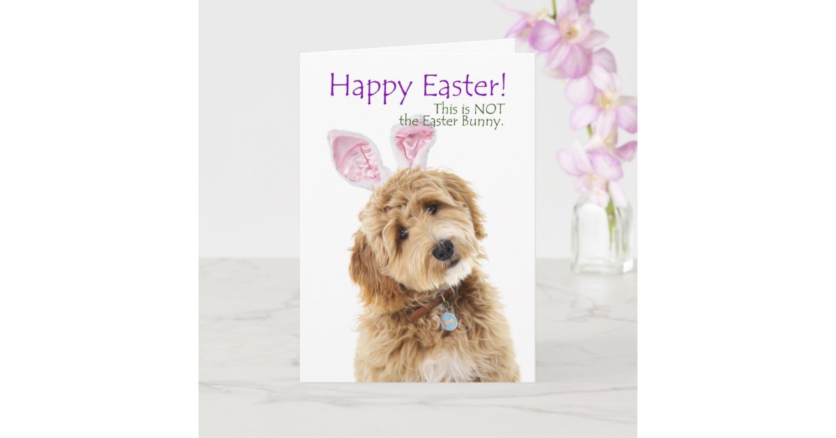 Funny Doodle Dog Easter Card | Zazzle