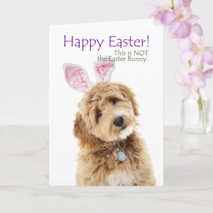 Funny Doodle Dog Easter Card | Zazzle