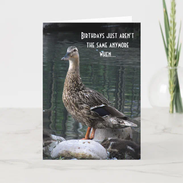 Funny Duck Birthday Card | Zazzle