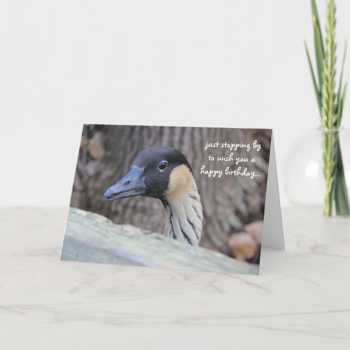 Funny Duck Birthday Card, hope your day is Ducky! Card | Zazzle.com