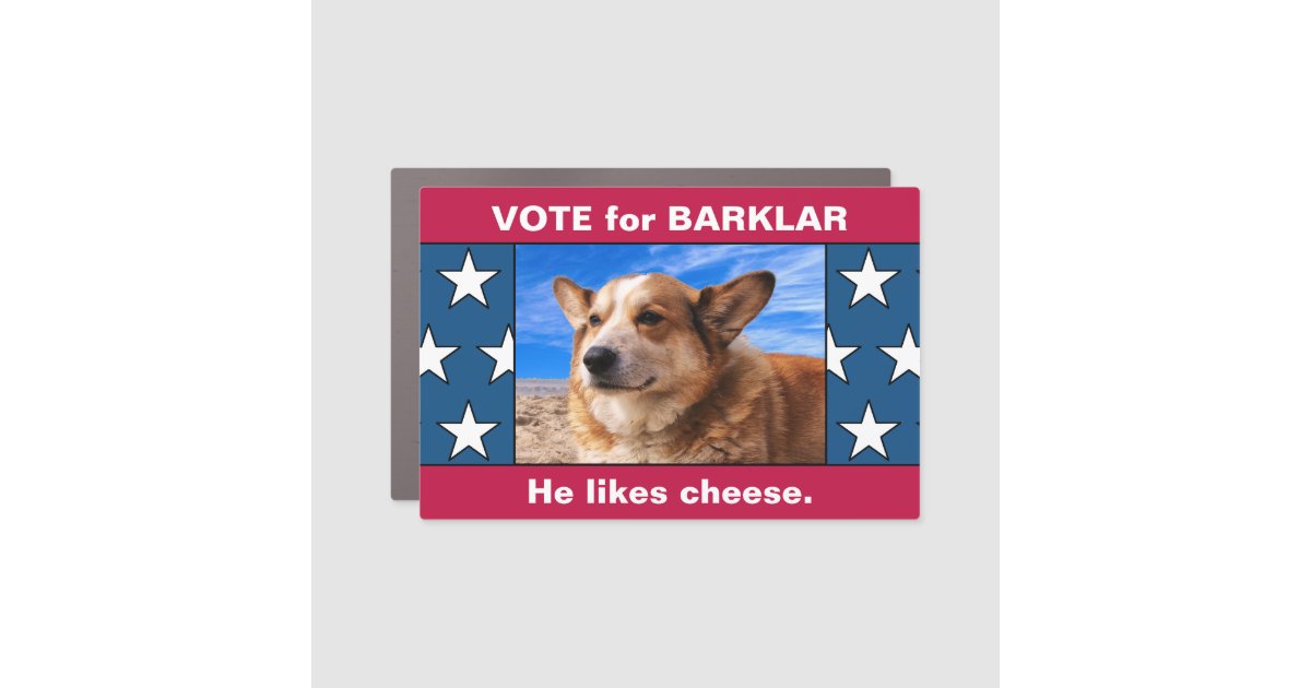 Funny Elect My Dog USA Flag Mayor Election Photo Car Magnet | Zazzle