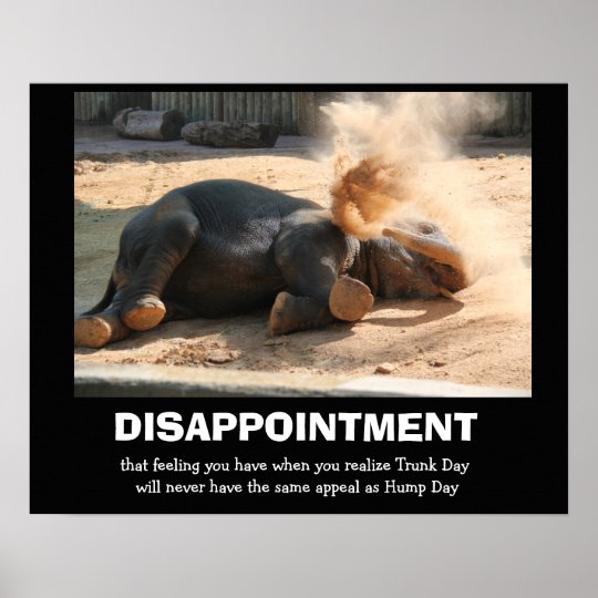 Funny Elephant, DISAPPOINTMENT (not hump day) Poster | Zazzle.com