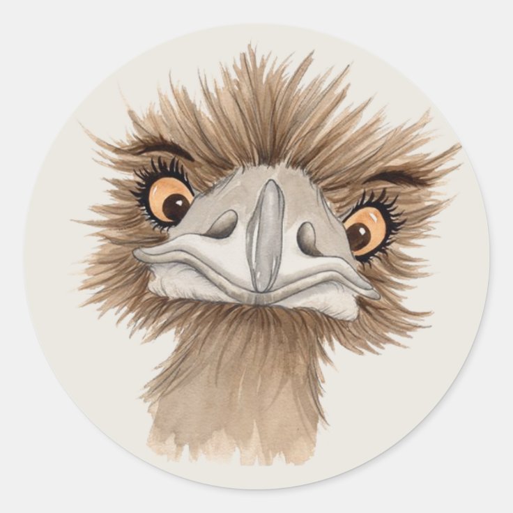 Funny Face Emu Cartoon Classic Round Sticker | Zazzle