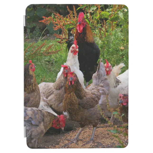 Funny Farmyard Chickens & Rooster iPad Smart Cover | Zazzle