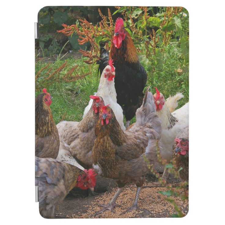 Funny Farmyard Chickens & Rooster iPad Smart Cover | Zazzle