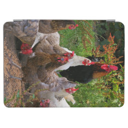 Funny Farmyard Chickens & Rooster iPad Smart Cover | Zazzle