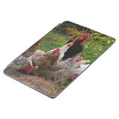 Funny Farmyard Chickens & Rooster iPad Smart Cover | Zazzle