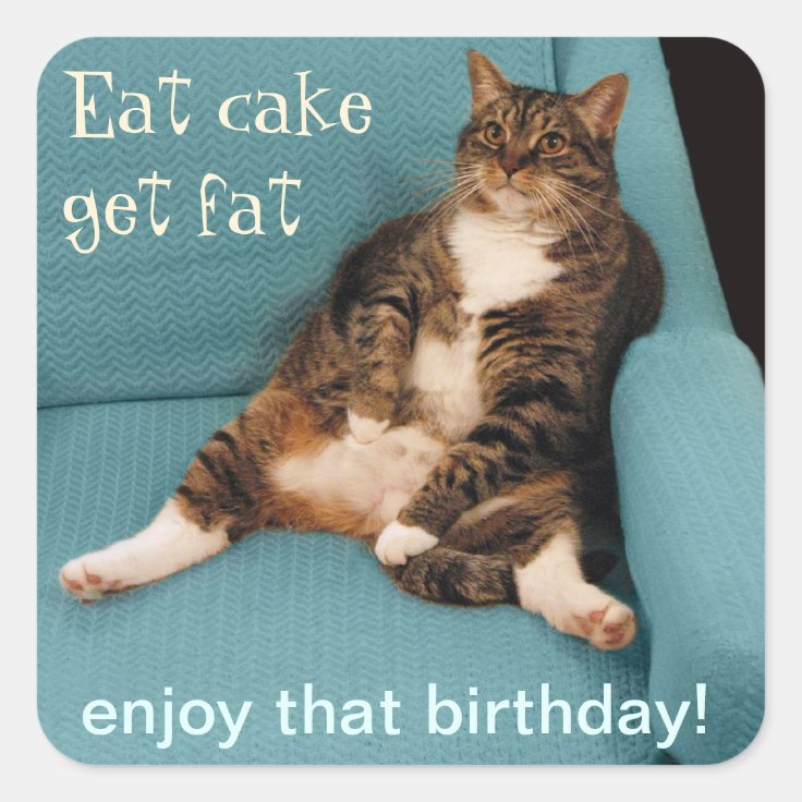 Funny Fat Tabby Cat Eat Cake Get Fat Square Sticker | Zazzle