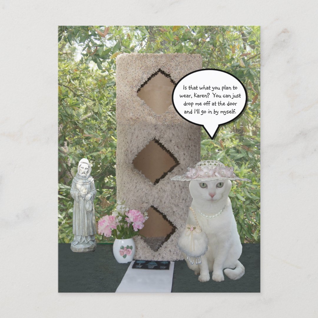 Funny Female Cat Meme Announcement Postcard | Zazzle