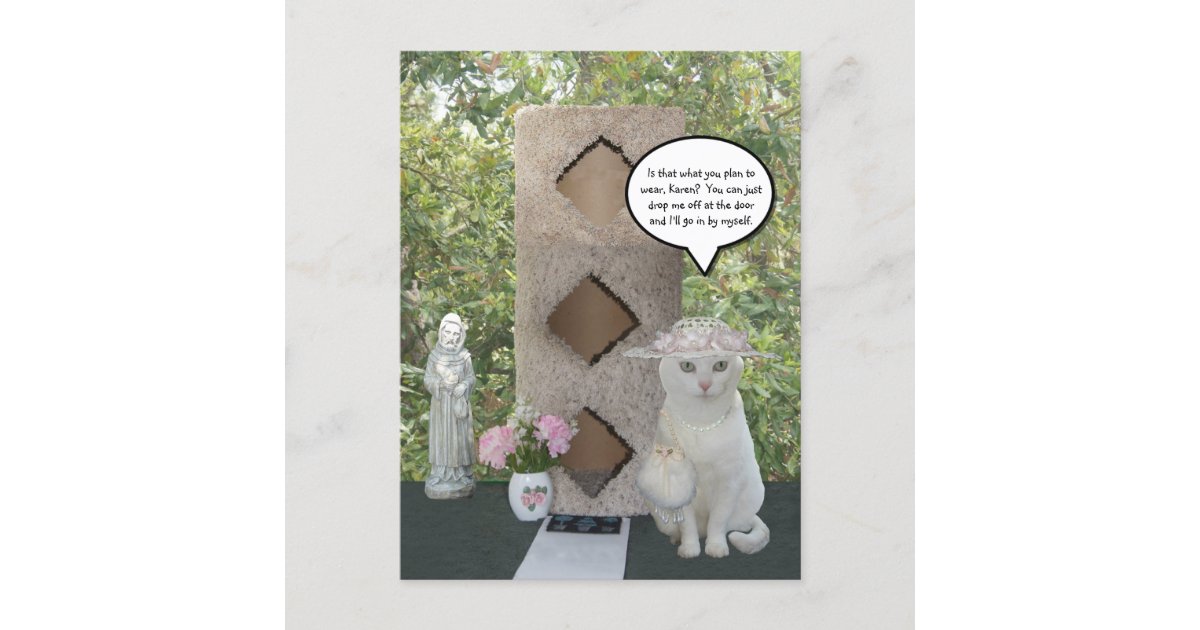 Funny Female Cat Meme Announcement Postcard | Zazzle