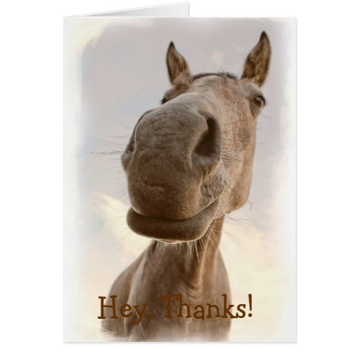 Funny Friendly Horse Thank You Card | Zazzle