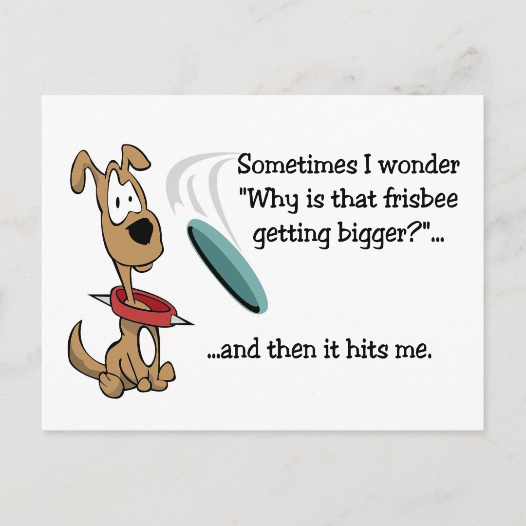 Funny Frisbee Postcard | Zazzle