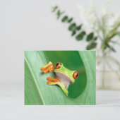 Funny Frog Postcard | Zazzle