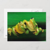 Funny Frogs Postcard | Zazzle