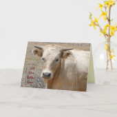 Funny Get Well - Cute White Cow - Ranch or Farm Card | Zazzle