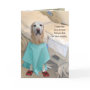 Funny Get Well Lab in Hospital Gown Card | Zazzle