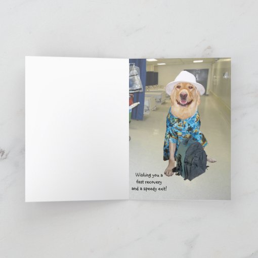 Funny Get Well Lab in Hospital Gown Card | Zazzle