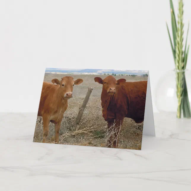 Funny Get Well - Red Cow Animal Humor - Ranch Card | Zazzle
