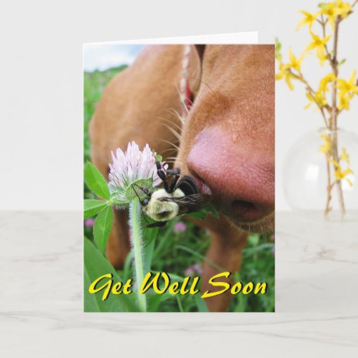 Funny "Get Well Soon" card | Zazzle