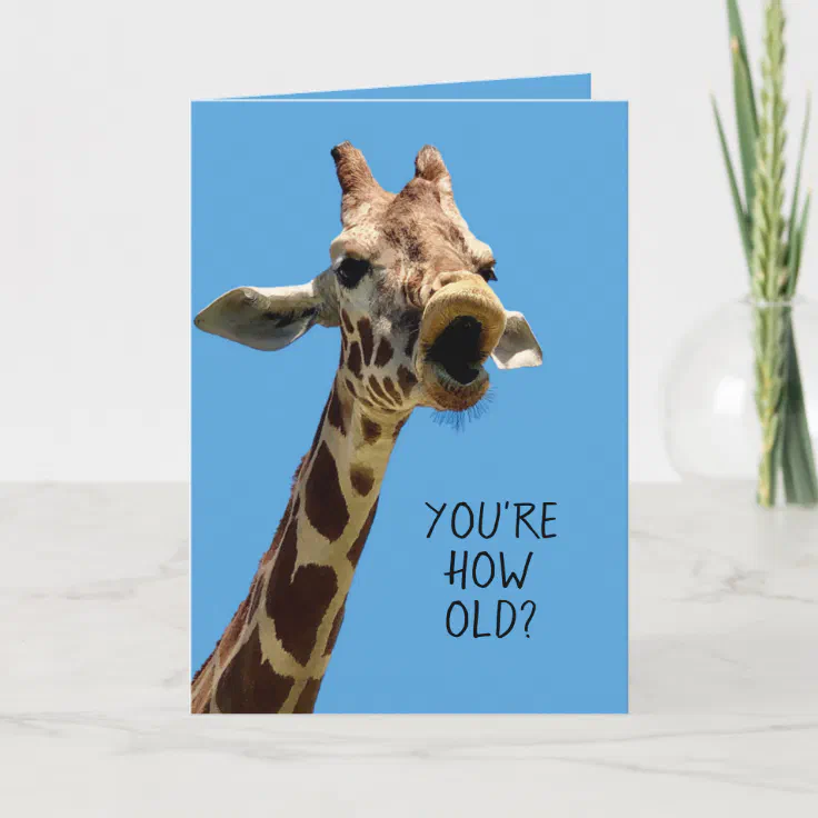 Funny Giraffe Birthday Card | Zazzle
