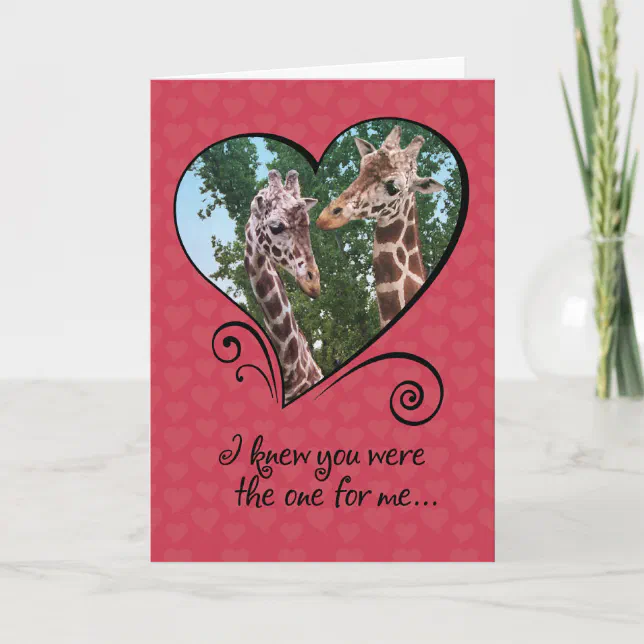 Funny Giraffes Valentines Day Card | Zazzle