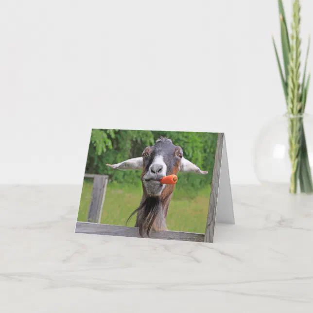 Funny Goat And Carrot Thank You Card | Zazzle