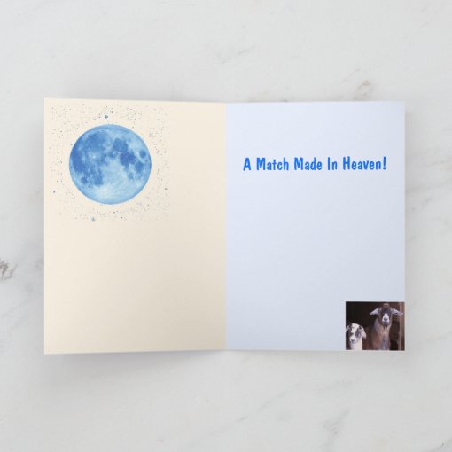 Funny Goat Anniversary Card | Zazzle